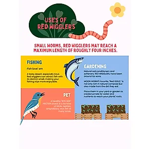 500+ Live Red Wigglers Composting Worms, Composting Bins