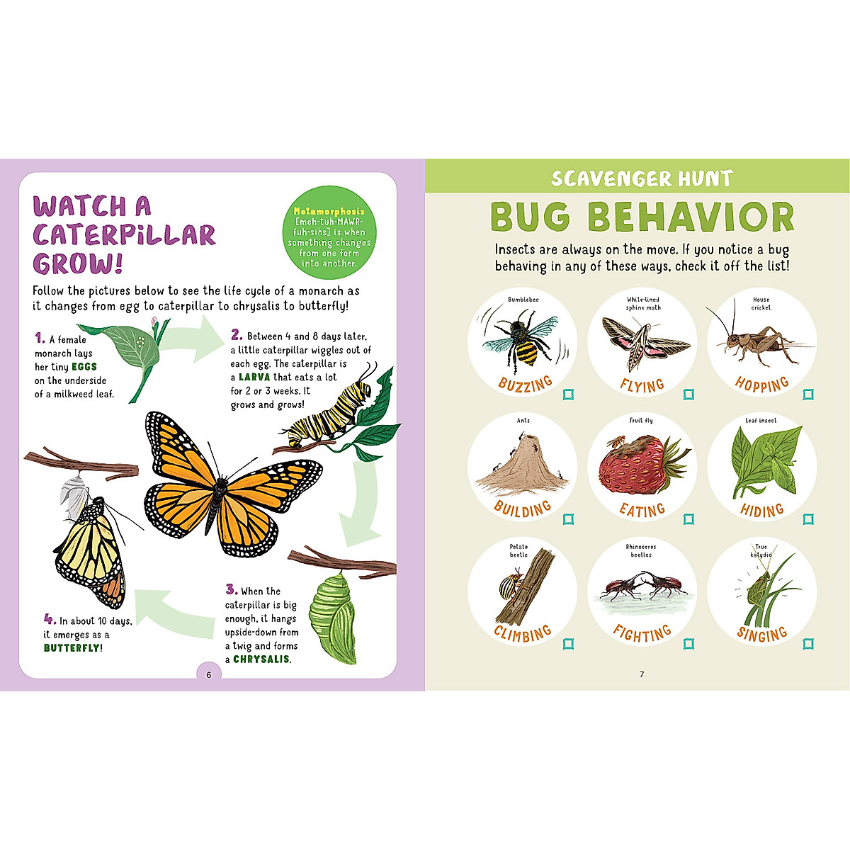 Backpack Explorer: Bug Hunt: What Will You Find?