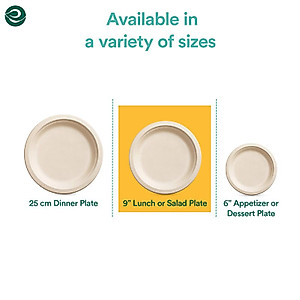 ECO SOUL 100% Compostable 9 Inch Paper Plates 100 [9", 100-Pack] Disposable Eco-Friendly Biodegradable Dinner Plates | Party, Wedding, Event Plates