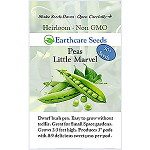 Earthcare Seeds Peas Little Marvel Sweet Dwarf Bush Pea 50 Seeds (Pisum sativum) No GMO – Open Pollinated - Heirloom