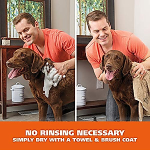 Wahl Pet Friendly Waterless No Rinse Shampoo for Animals – Oatmeal & Coconut Lime Verbena for Cleaning, Conditioning, Detangling & Moisturizing Dogs, Cats & Horses – 7.1 Oz - Model 820015A