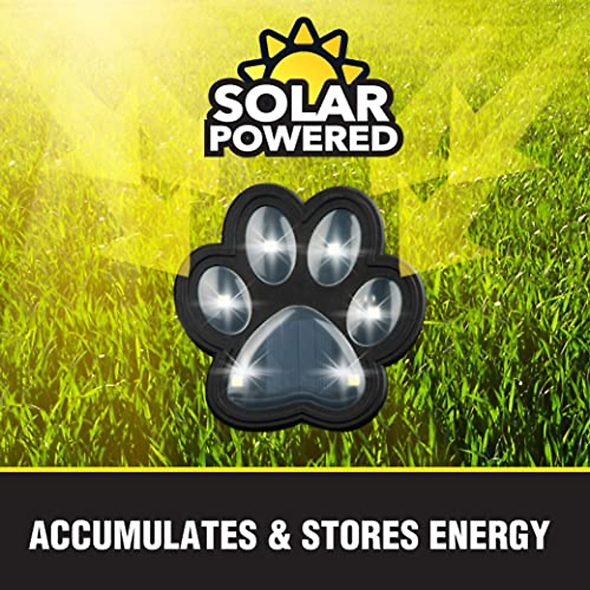 Bell+Howell Paw Print Disk Lights, Paw Shaped Solar Ground Lights ...