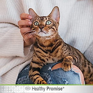 Four Paws Healthy Promise Aloe Ear Mite Treatment for Cats 0.75 Fl. Oz.