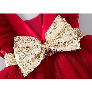 KLFFLGID Baby Girl Sequins Bowknot Dresses Toddler Flower Girl Birthday Wedding Party Dresses for Girls Pageant Ball Gown Size 90 (Wine Red)