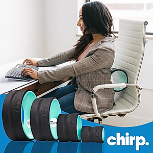 Chirp Wheel Foam Roller - Targeted Back Foam Roller for Back Pain Relief, Deep Tissue Muscle Massage, Trigger Point Round High Density Foam Roller for Physical Therapy & Exercise, 4-Pack Mint