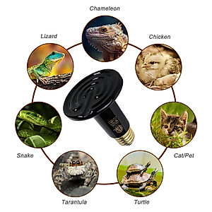 WUHOSTAM 50W 2 Pack Ceramic Heat Lamp,Black Infrared Bulb Emitter Lamp for Pet Coop Heater Reptile Chicken Lizard Turtle Brooder Bulb Temperature Adjustable No Harm No Light ETL Listed