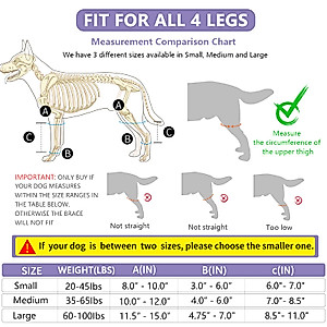 Xylitic Dog Knee Brace, Acl Knee Brace for Dogs Hind Leg with Cruciate Ligament Injury,Joint Pain and Muscle Sore,Adjustable Dog Rear Leg Brace Support for Patella Dislocation,Pet Knee Brace (Medium)