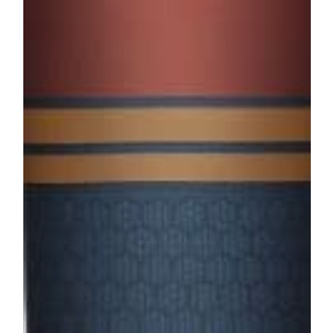 Corkcicle Sport Canteen - Water Bottle & Thermos - Triple Insulated Shatterproof Stainless Steel, 20 oz, Marvel - Captain Marvel