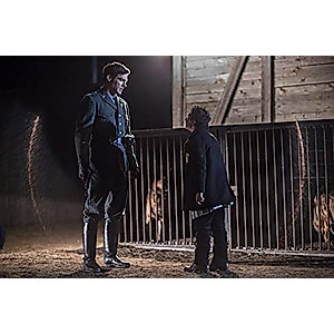 Shepherd - Die Geschichte eines Helden