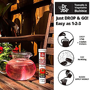 Dr. Joe Tomato & Vegetable Bubble Plant Food - Water Soluble Fertilizer (14 Fizzing Tablets, Makes 14 Gallons, 14-14-17)