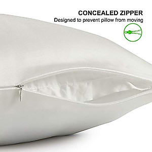 ALASKA BEAR Silk Pillowcase for Hair and Skin, Grade 6A 100% Mulberry Silk Pillow Cases Queen Size for Bliss Beauty Cool Sleep and Reduce Acne Better than Cheap Satin, Scrunchy Gift Set, Natural Ivory White