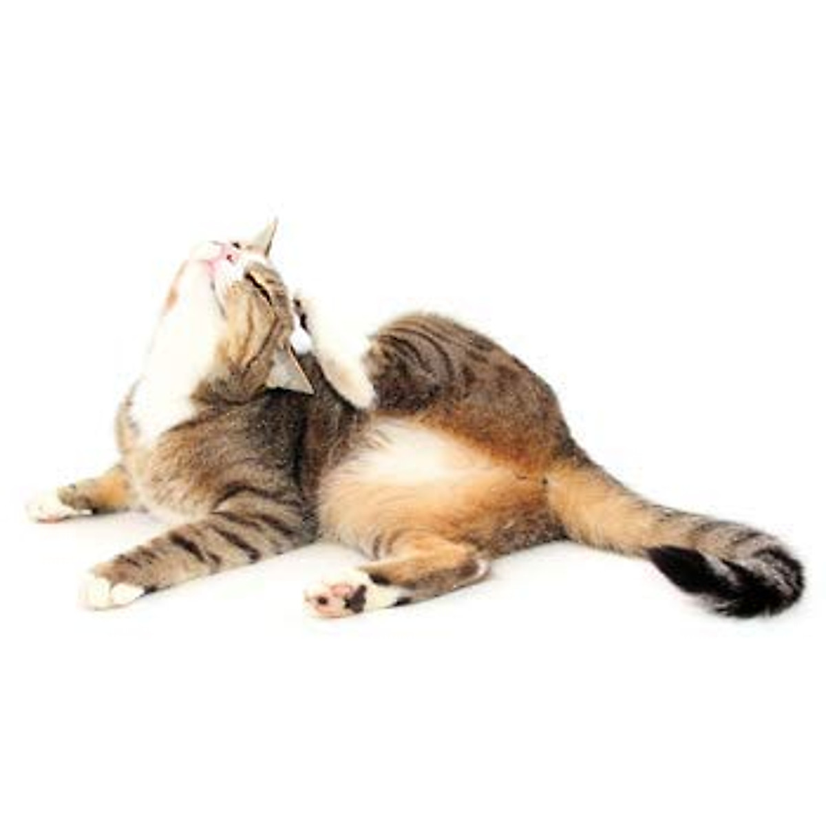 I Love My Pets cat Skin and Itch Relief - Cats Allergy Relief - Itch Relief - Premium Supplement - Treats - Allergy Tablets for Cats - 150 Tablets (2 Bottles)