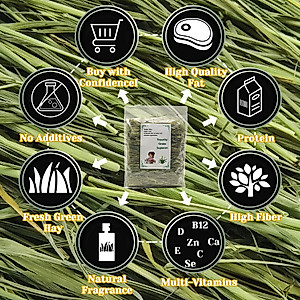 Hamiledyi Timothy Natural Hay Rabbit Hay Feed Premium Orchard Grass for Bunny Guinea Pig Chinchillas Chipmunk and Small Animal Pets Hay Food （1.1 Ib）