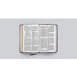 ESV Large Print Thinline Bible (TruTone, Mahogany)