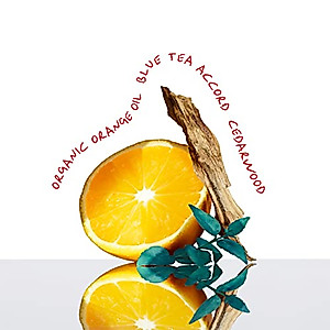 Calvin Klein CK Everyone Unisex Eau de Toilette, 3.3 Fl Oz