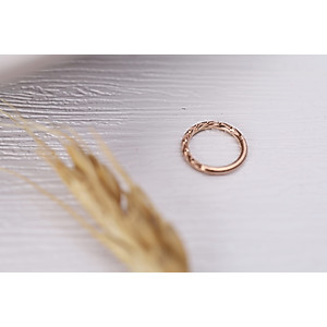 JINSAWW 16G Septum Hoop Segment Nose Rings Surgical Steel Helix Rook Conch Cartilage Nose Septum Seamless Hinged Clicker Ear Piercing Jewelry