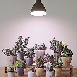 Necgemlex Smart LED Grow Light Bulbs with Remote Controller, Sun Mode, Built-in Daily Auto Timer, 4500K, A21/A70 E26/E27 9W Dimmable Full Spectrum Grow Bulbs for Indoor Plants, 2 Pack