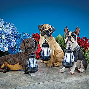Bits and Pieces - Boston Terrier Solar Lantern Statue - Yard Decorations - Solar Powered Garden Lantern - Resin Dog Sculpture - Outdoor LED Lighting