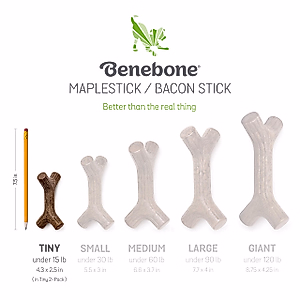 Benebone Puppy 2-Pack Maplestick/Zaggler Durable Dog Chew Toys for Gentle Chewers, Real Bacon, Real Maplewood, Made in USA, Tiny