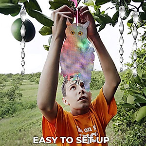 Dyvicl Fake Owl Hanging Reflective Owl for Woodpecker Deterrent 4 Pack, Bonus 6 Reflective Scare Spiral Rods