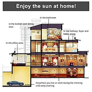 McDen A19 LED Bulb 100W Equivalent,Full Spectrum Light Bulb,Light Therapy Lamp Bulb,Daylight Light Bulbs 13W 5000K,Bright White Light Bulbs Enjoy The Sun at Home Happy,2 Pack