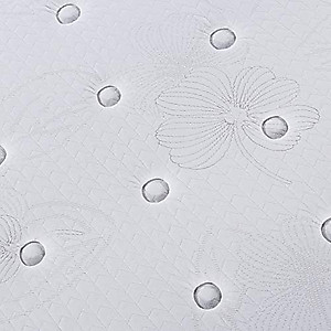 Sleeplace 11 Inch Tight Top Spring Mattress Queen -Dark Green Piping SP11SM04Q