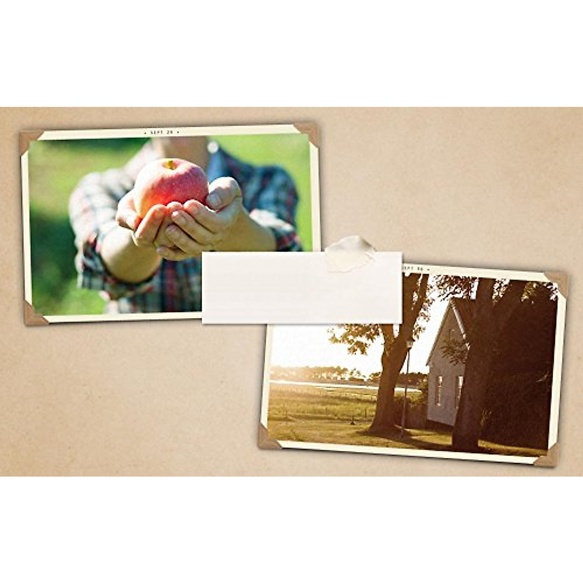 Glade Candle Jar, Air Freshener, Apple Cinnamon, 3.4 Oz