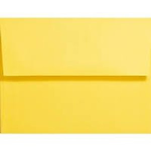 Stonehouse Collection 24 Pack Birthday Card Assortment of 5x7 Cards - Boxed Set of 24 Cards & Envelopes - Blank Birthday Cards - Great For Office Birthdays -USA Made