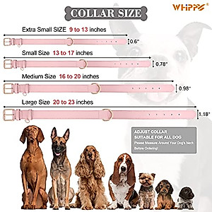 WHIPPY Leather Dog Collar for Small Medium Large Dog Adjustable Soft Breathable Leather Padded Puppy Collar with Alloy Buckle Heavy Duty Waterproof Classic Dog Pet Collar,Pink,M