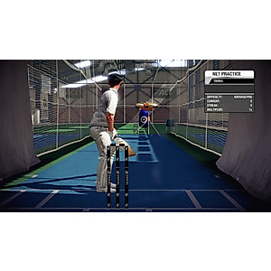 Don Bradman Cricket (PS4)