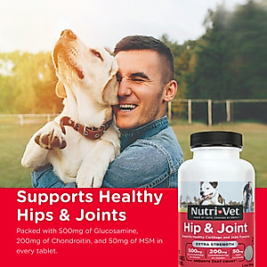Nutri-Vet Hip & Joint Extra Strenght Chewable Tablets for Dogs, 75 count (24743-3)