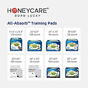 HONEY CARE All-Absorb, XXL 30"x36", 30 Count, Dog and Puppy Training Pads, Ultra Absorbent and Odor Eliminating, Leak-Proof 5-Layer Potty Training Pads with Quick-Dry Surface, Blue, A39