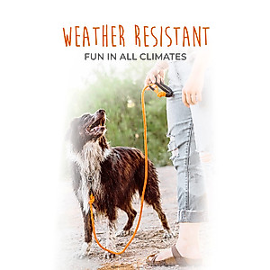 Mighty Paw Rope Dog Leash - Durable Climbing Lead - Reflective Stitching - Comfort Handle - Suitable for All Pet Sizes - Heavy Duty Dog Leash with Carabiner - Long Dog Leash - (6 Feet, Orange)