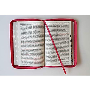 Biblia Reina Valera 1960 letra grande. Símil piel fucsia, cremallera, índice, ma nual / Spanish Bible RVR 1960. Handy Size, Large Print, Leathersoft