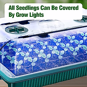 Kirababy Seed Starter Tray with Grow Light, 2 Packs Seed Tray Kits with 80-Cell/Seedling Tray with Humidity Dome/Indoor Grow Kit for Deep-Rooted Seedlings