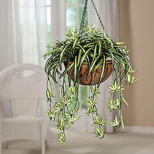Artificial Chlorophytum Silk Flowers, Artificial Flowers Spider Plant Fake Greenery Faux Plant Hanging Basket Ivy Green Leaves Wall Hanging Plants for Home Garden Office Wedding Decoration
