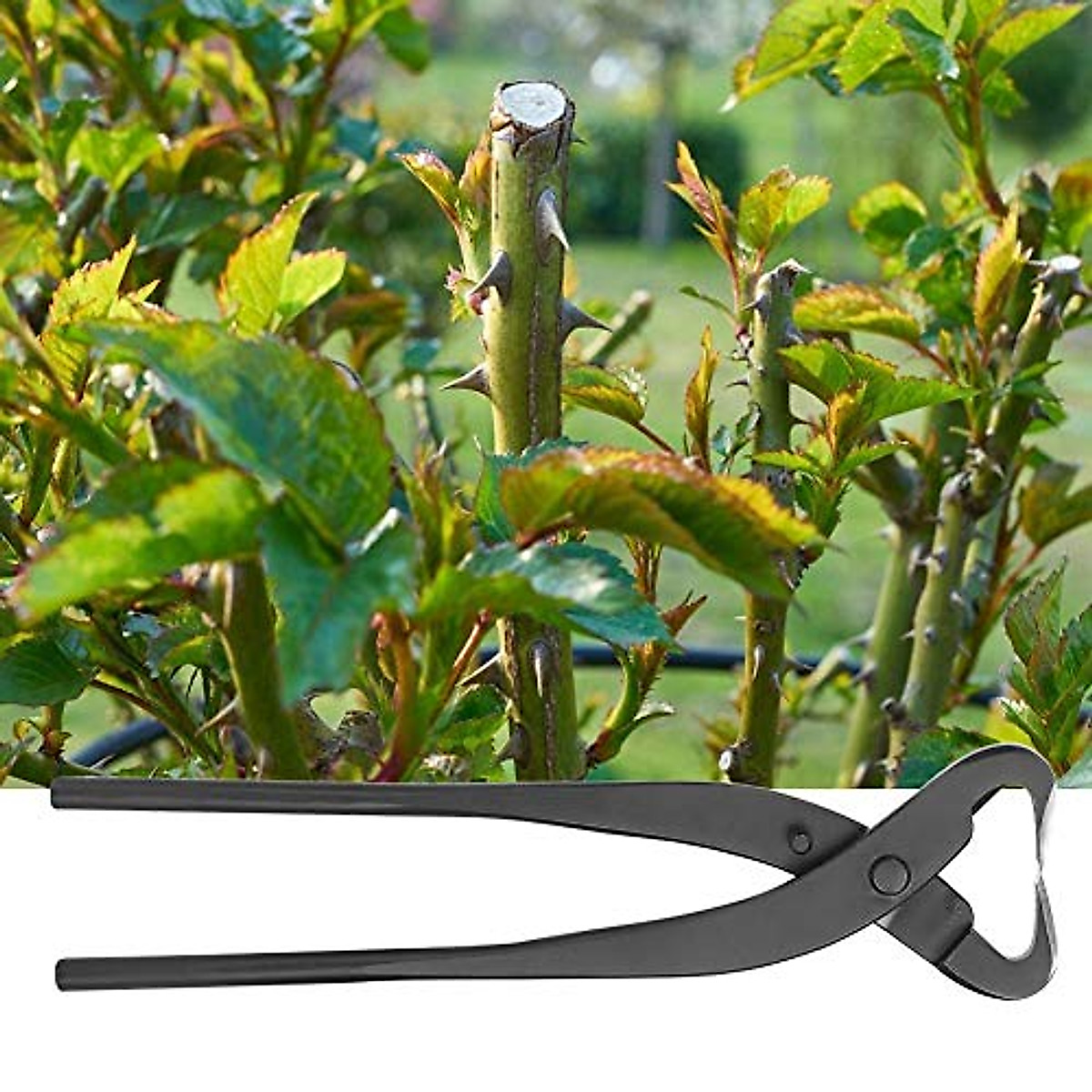 Pruning Shears, Ergonomic Hand Gardening Bonsai Tools Plant Tree Branch Cutter Pruning Scissors Bypass Trimming Shears 27cm
