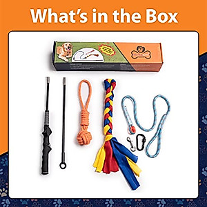 SMATICA Flirt Pole for Dogs - Interactive Dog Toys for Boredom & Stimulating – Lightweight & Sturdy Puppy Toys – Flirt Pole for Dogs Heavy Duty for Dog Training & Exercise (Not for Aggressive Chewers)