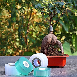 MIDOUWEST 4 Pcs Parafin Grafting Tape for Fruit Trees,Garden Plant Nursery Tape Stretchable Self Adhesive Membrane Clear Floristry Film,Plant Repair Budding Tape