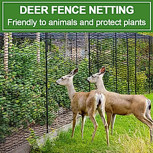 Bird Netting for Garden Protection, 13x32FT Garden Netting w/ 0.8" Mesh, Poultry Netting for Chicken Coop, Deer Fence Netting for Plants Fruit Trees Vegetables Against Birds, Squirrels, Other Animals
