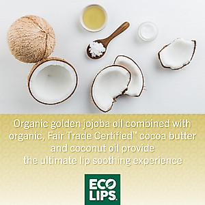 Eco Lips Lip Food - Nutrient Dense & Organic Lip Balm (Nourish, Plump and Protect)