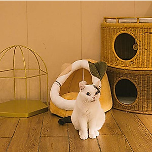 Qucey Cat Beds for Indoor Cats, Cat Cave Bed Cat Tent House Cat Hut with Rovemable Washable Cushioned Pillow, Kitten Beds, Small Dog Bed