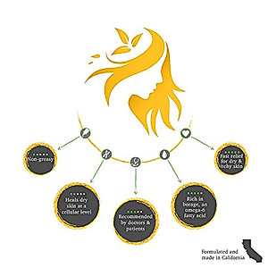 ShiKai Henna Gold Highlighting Shampoo (12 oz) | Hydrating Hair Brightener Enhances Natural Highlights | Add Shine & Volume to Dull Hair