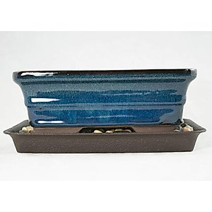 8" Rectangular Dark Blue Bonsai / Succulent Pot + Tray + Rock + Mesh Combo
