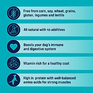 Stewart Freeze Dried Dog Treats, Beef Liver, 14 oz, Grain Free & Gluten Free, Resealable Tub, Single Ingredient, Training Treat in Beef Liver, Salmon, Chicken Liver & Chicken Breast 4, 14, 21 oz