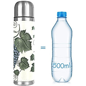 Vintage Grape Cluster Vacuum Insulated Stainless Steel Water Bottle, Double Walled Travel Thermos Coffee Mug 17 OZ for School Office
