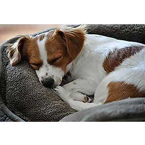 PET SUPPLEMENTS & NUTRITION LLC Hip and Joint for Dogs - Joint Health with Turmeric - MSM - GLUCOSAMINE - Hip Support - msm for Big Dog - 120 Tablets (2 Bottles)