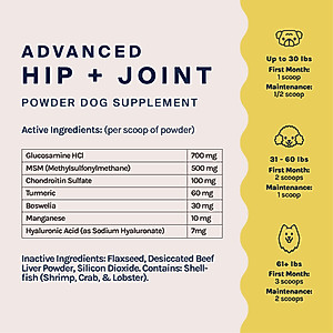 Dog Advanced Hip and Joint Powder by Good Trouble Pets - Joint Supplement for Dogs with Vitamins, Supports Healthy Joints and Prevents Arthritis in Dogs, Puppy Vitamins and Supplements (4.8 oz, Beef)