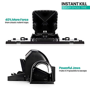 eXuby Pet-Safe & Child-Safe Rat Traps w/Tunnel Design (3-Pack) – Dual Entry for Better Capture Rate - No Harmful Poison - Prevents Accidental Triggering - Avoid Finger Snapping - Setup in Seconds