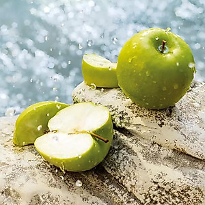 Dolce & Gabbana Light Blue, Eau De Toilette Spray, For Women - 100 ml / 3.3 fl.oz